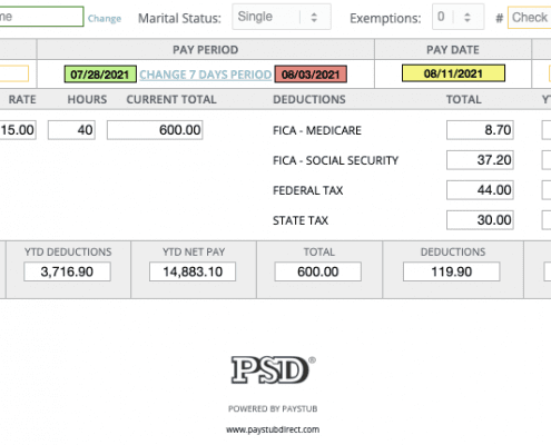 What Is a Pay Stub? Everything You Need to Know | PayStub Direct