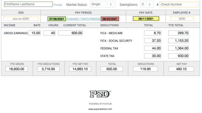 What Is a Pay Stub? Everything You Need to Know | PayStub Direct