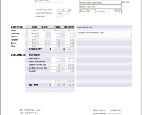What Is a Pay Stub? Everything You Need to Know | PayStub Direct