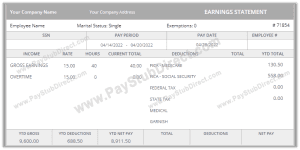 How to Make your Own Paycheck Stubs