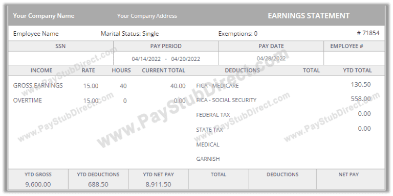 How to Make your Own Paycheck Stubs